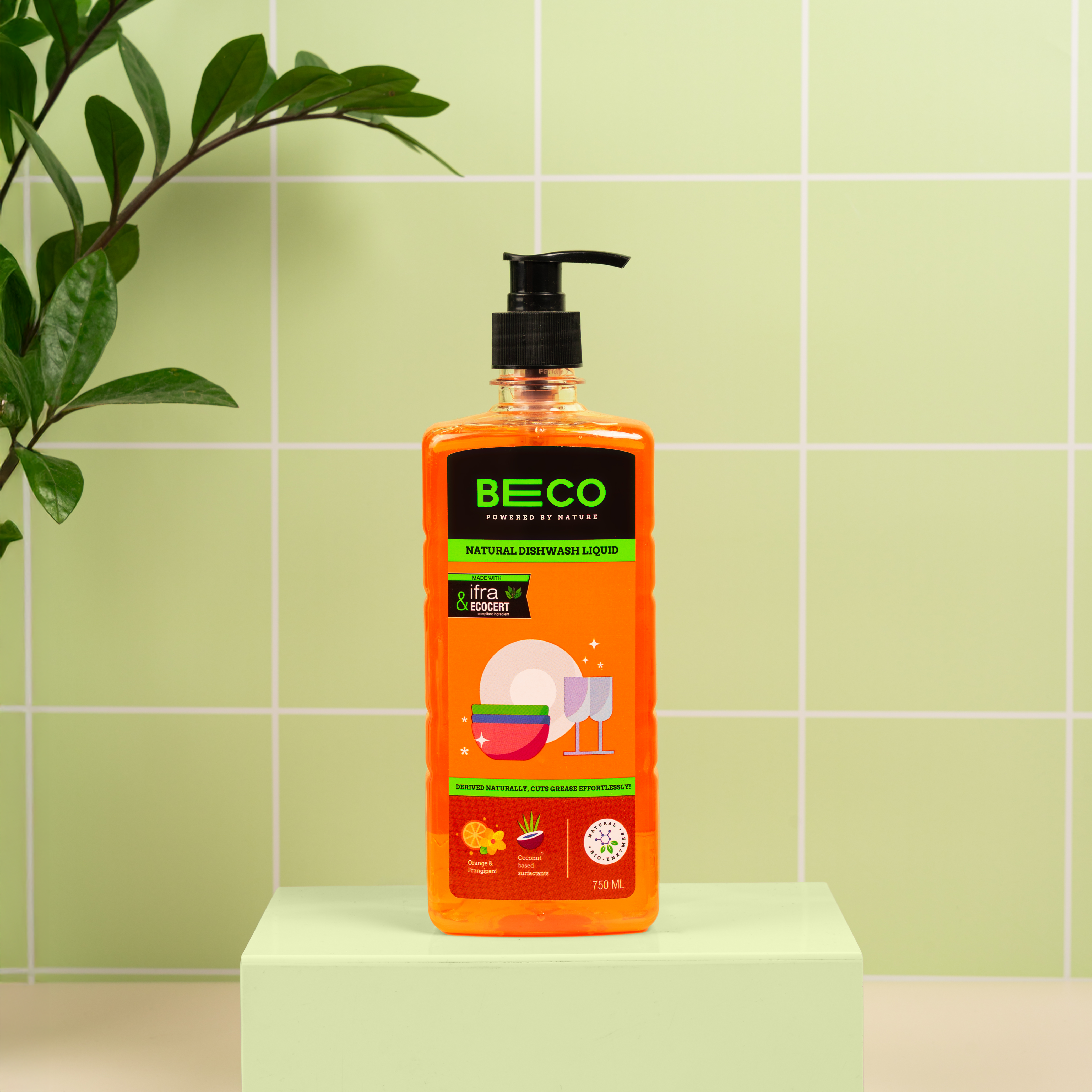 Natural Dishwashing Liquid 750 ml | Buy Eco Clean | BECO